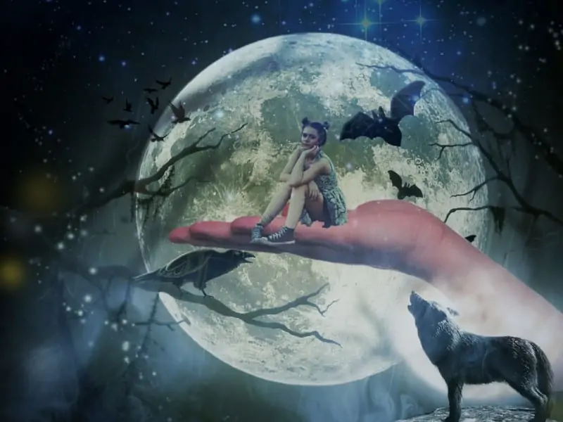 Moon Reading Explained & Easy Guide to Find Your Moon Sign
